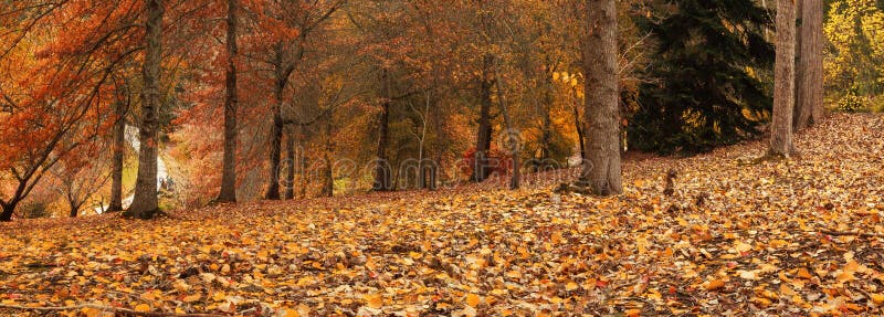 Autumn Panorama 2 stock image. Image of landscape, color - 30809221