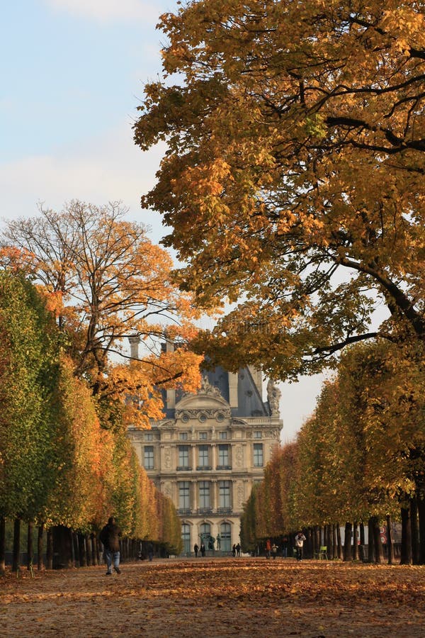 Autumn in Paris stock photo. Image of leaves, autumn - 12809466