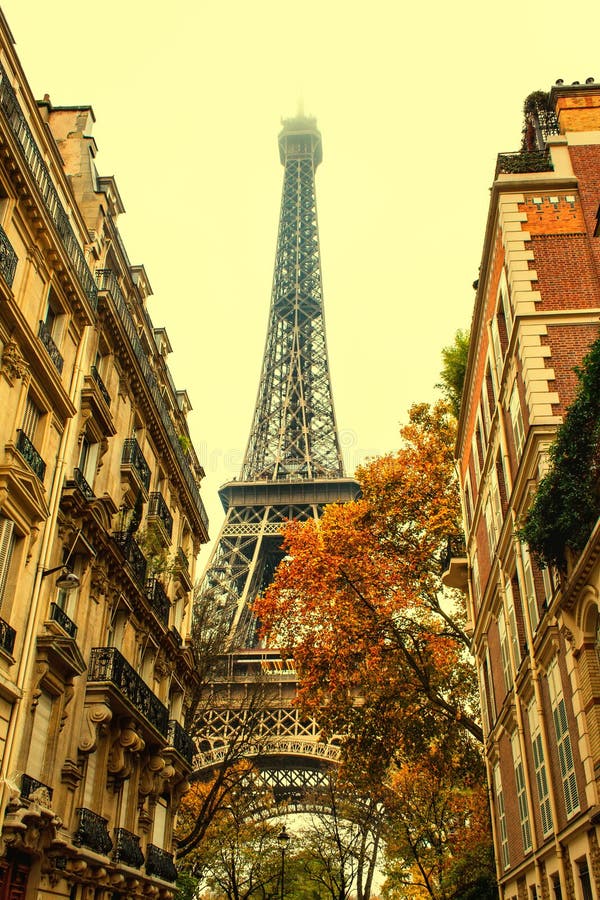 Autumn in Paris stock photo. Image of fall, scene, architecture - 52582512