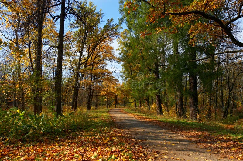 Autumn park stock photo. Image of travel, sunny, tourism - 11977720