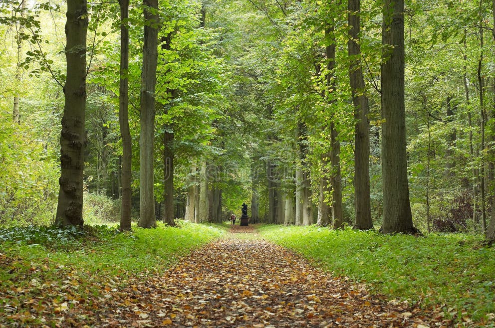 Autumn in the park stock photo. Image of bright, hiking - 1423390