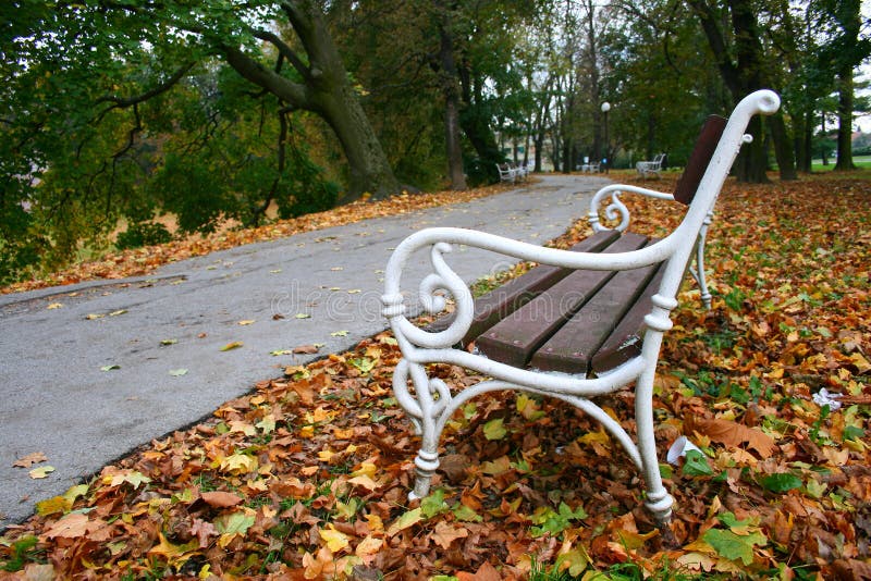 Autumn in the park stock photo. Image of falling, metal - 1472572