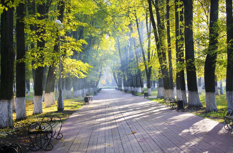 Autumn park stock photo. Image of bright, bench, color - 16555788