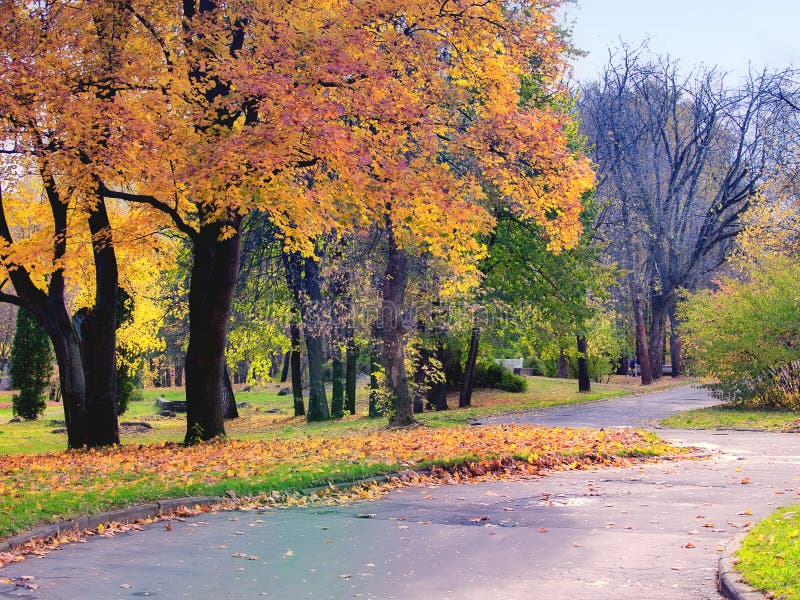 Denver city street in Fall stock image. Image of street - 4974591