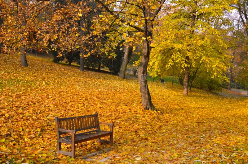 Autumn park stock image. Image of forest, peaceful, natural - 21945849