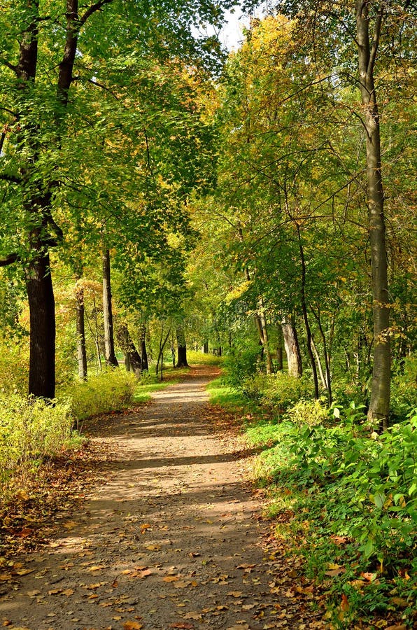 The autumn park stock image. Image of colorful, place - 27241637
