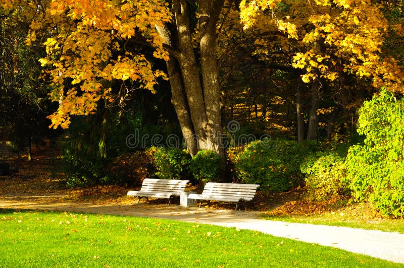 Bench in a park stock image. Image of wooden, serenity - 252613