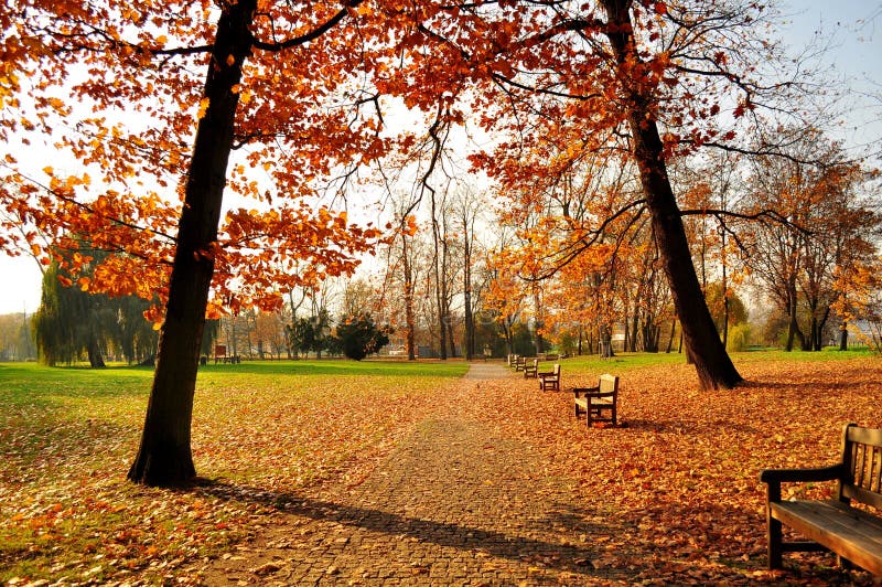 Autumn park stock photo. Image of nature, outdoors, natural - 27494782
