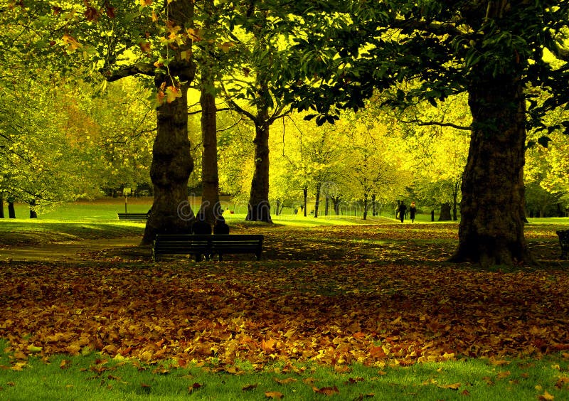 Autumn Park stock photo. Image of dreamy, season, color - 315114