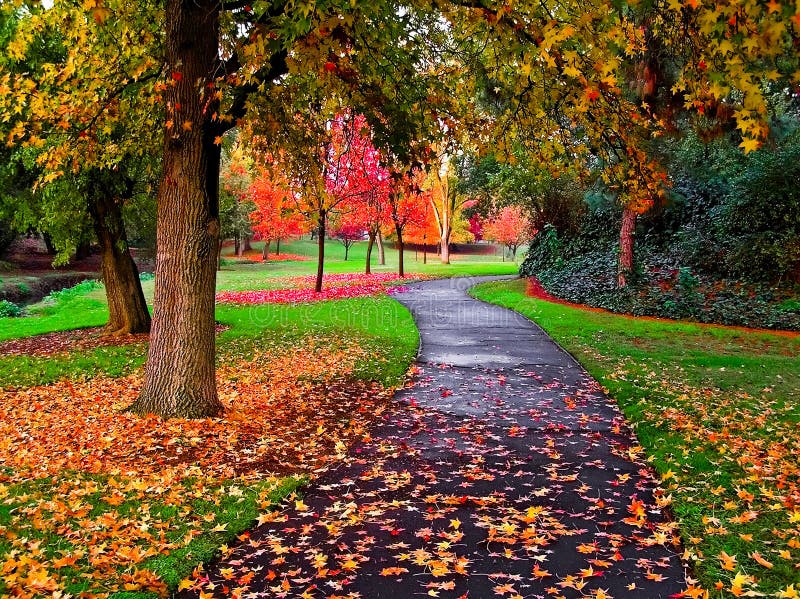 Autumn in the park stock image. Image of outdoor, beautiful - 5338627
