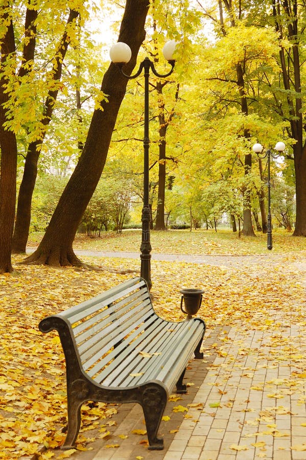 Photo of Beautiful Autumn Park Full of Benches and Folliage in W Stock ...