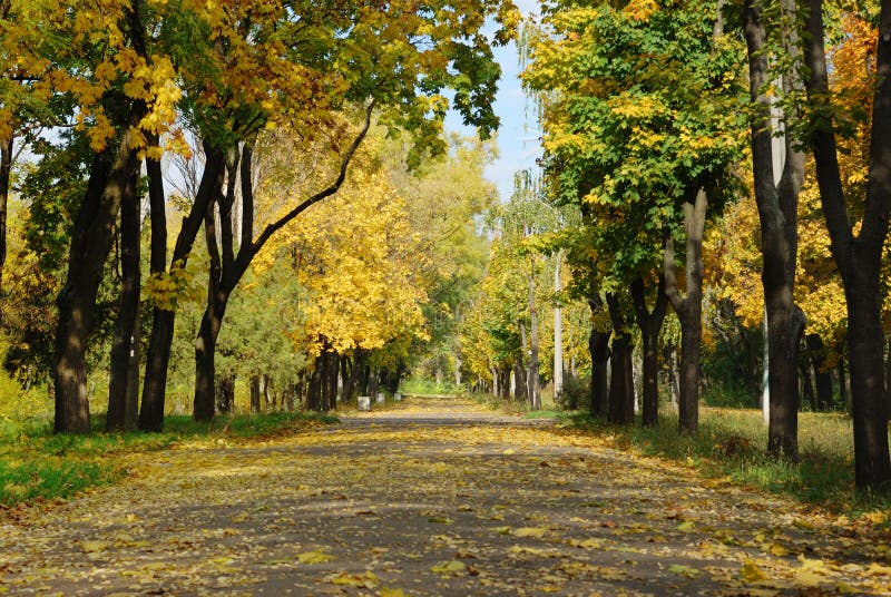 Autumn Park Picture. Image: 5901348