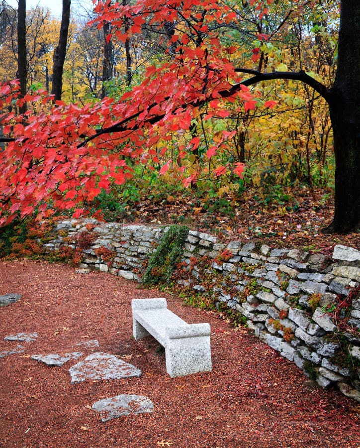 Autumn Park Bench stock photo. Image of fall, beauty - 34224220