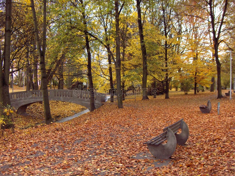 Autumn Park stock photo. Image of bridge, landscape, trees - 99088568