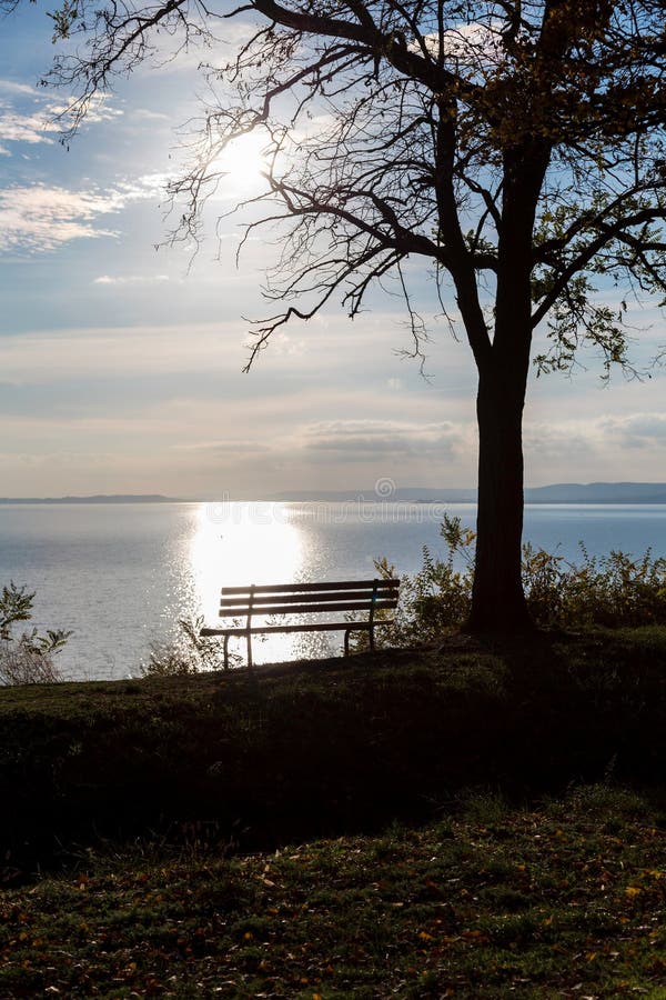 Autumn a Park Bench at the Lake Balaton Stock Photo - Image of ...
