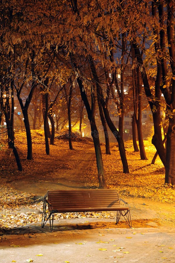 Autumn Park Bench. Night Shoot Stock Photo - Image of illuminating ...