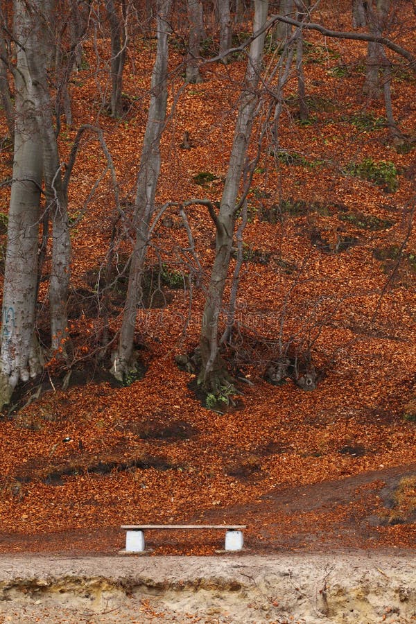 Autumn park bench stock image. Image of leaves, outdoors - 34130287