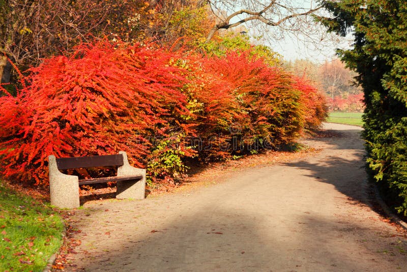 Autumn park bench stock image. Image of bench, orange - 47670559