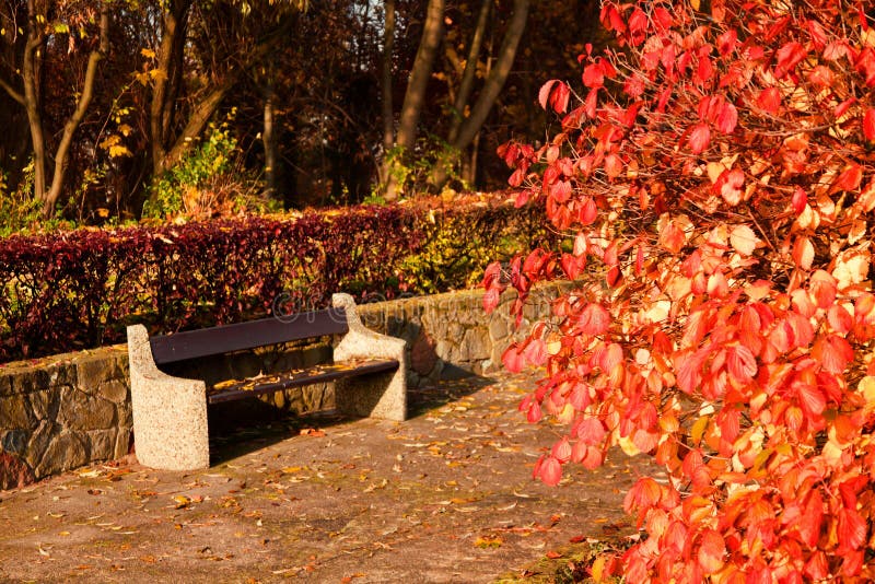 Autumn park bench stock photo. Image of leaves, park - 47670586