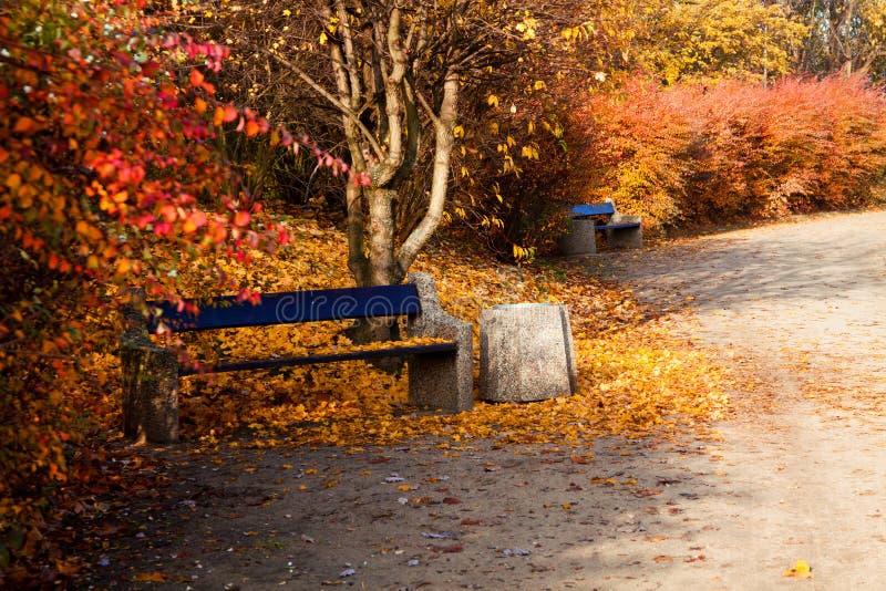 Autumn park bench stock photo. Image of beautiful, landscape - 47670628
