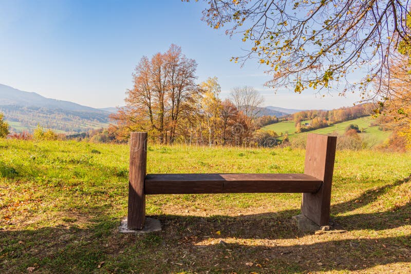 Autumn Park Bench. Tree Alley in Fall Background Stock Photo - Image of ...