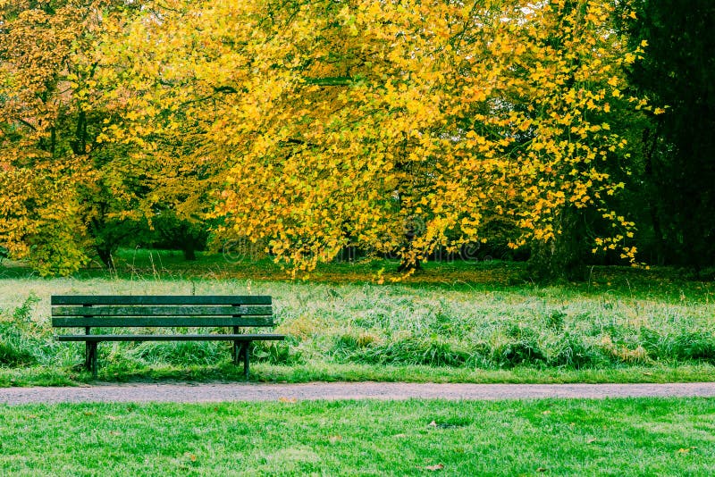 Autumn Park Bench stock image. Image of park, dafrac14 - 61415861