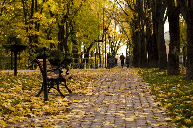 Autumn park stock photo. Image of yellow, park, walk - 76045248