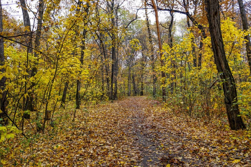 03_Autumn in Park Boris III, Sofia, Bulgaria. Stock Image - Image of ...