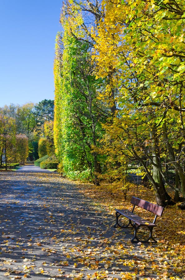 Autumn park details stock image. Image of light, landscape - 27488395