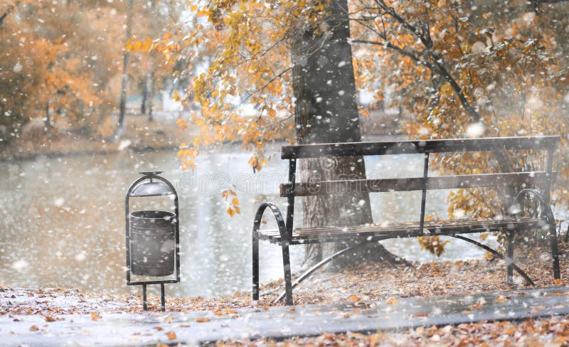 Autumn Park in the First Snow Stock Image - Image of light, bright ...
