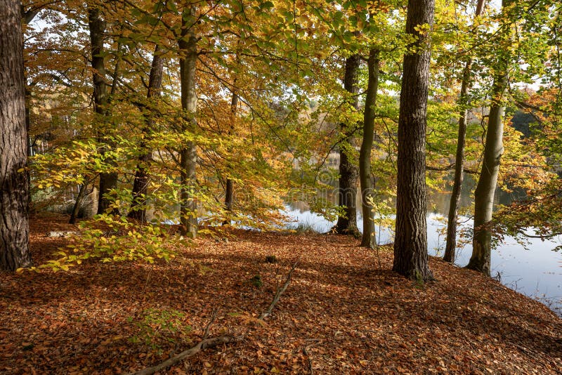 Autumn Park Landscape with a Lake Stock Image - Image of blue, grass ...