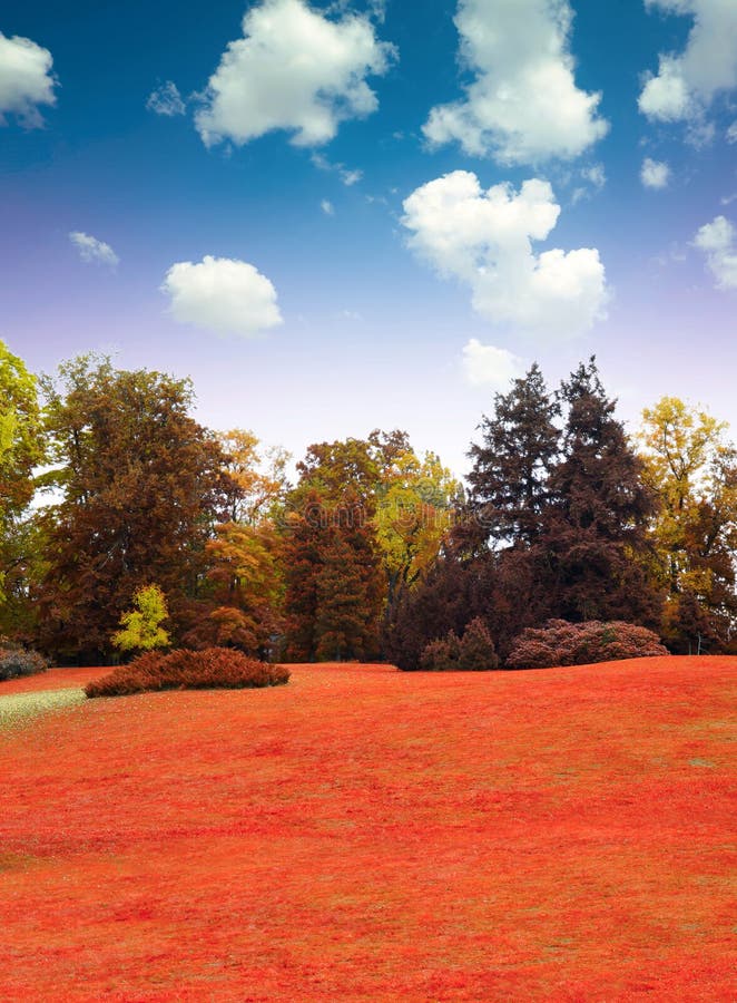 Autumn park landscape stock image. Image of fall, park - 75292897