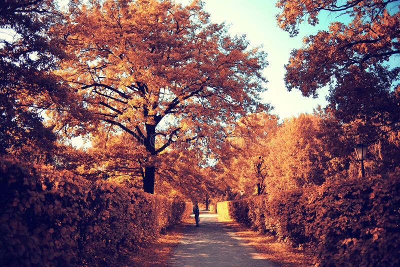 Autumn park landscape stock image. Image of lawn, bright - 59881743