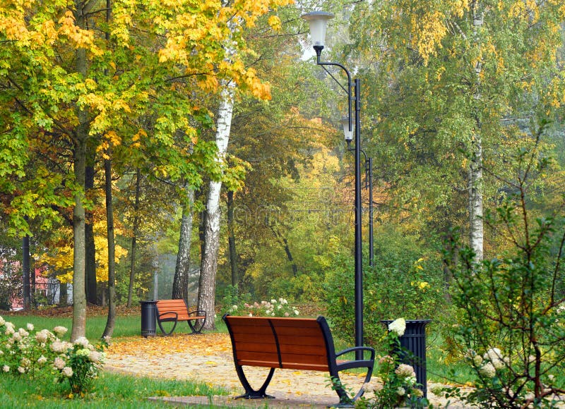 Autumn Park. Lantern, Bench in a Beautiful Forest Stock Photo - Image ...