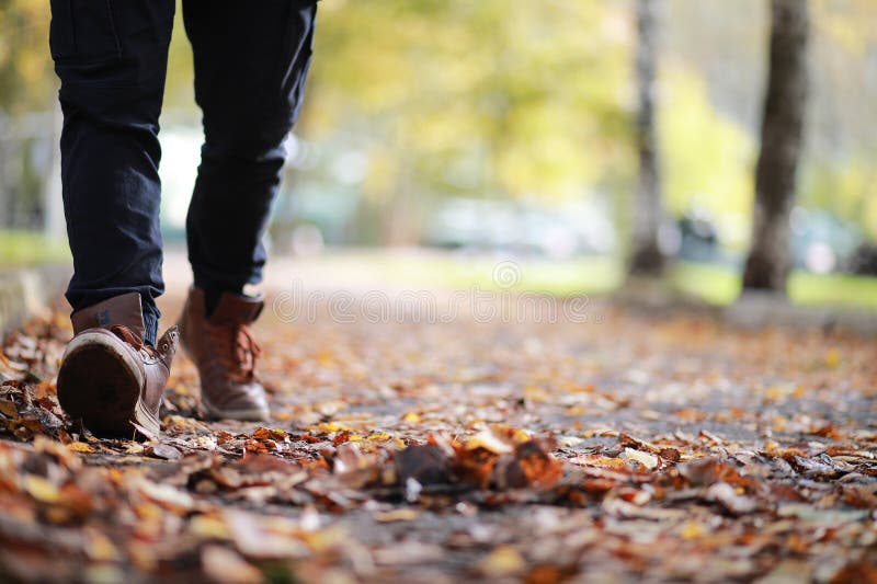 Autumn Park Man Walking Along a Path Foliage Stock Photo - Image of ...