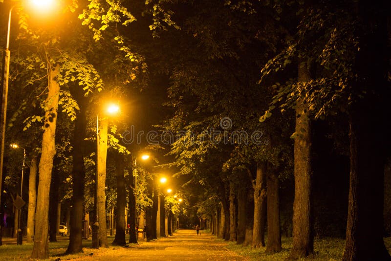 Autumn Park at Night. Beautiful Autumn. Night Scene. Background. Stock ...