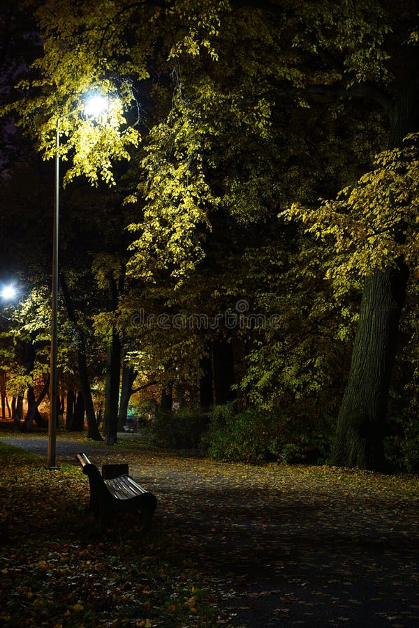 Autumn Park at Night with Lighted Lanterns and Empty Benches Stock ...