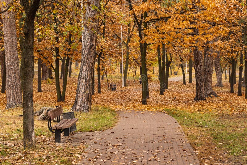Autumn Park Path with Benches and Oak Foliage Valley Stock Photo ...