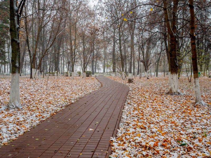 Autumn Park Path after the First Snow Stock Image - Image of landscape ...