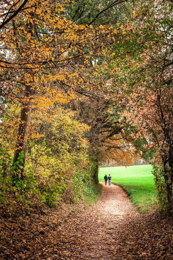 Autumn Park Path stock image. Image of walk, autumn, path - 61656687