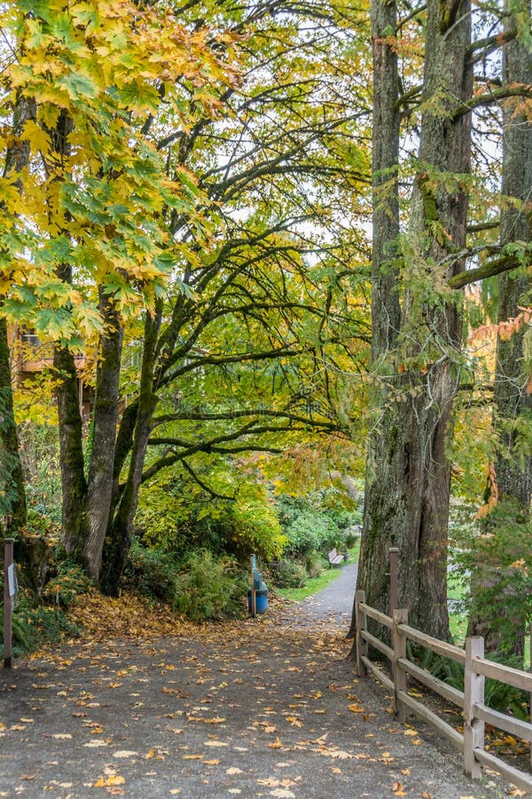 Autumn Park Path stock image. Image of nature, state - 168635095
