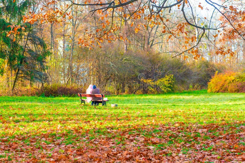 Autumn Park and People Sitting on Bench Stock Image - Image of light ...