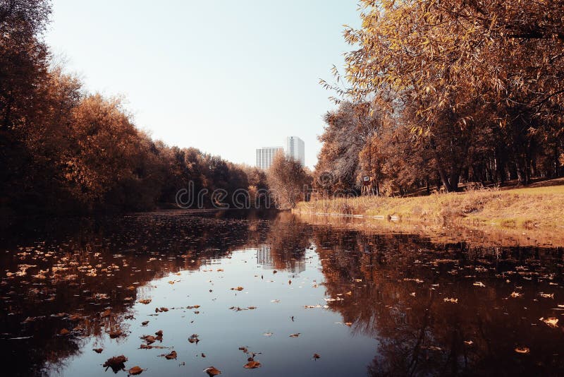 Autumn park with pond stock image. Image of city, color - 61387283