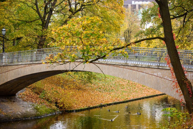 Autumn in park editorial stock photo. Image of baltic - 232843768