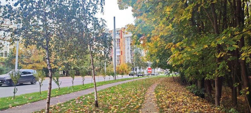 Autumn in the Park, Road and Buildings Stock Photo - Image of asphalt ...