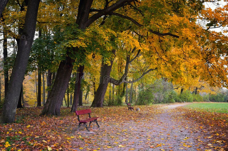Autumn in the park stock photo. Image of october, colorful - 34195048