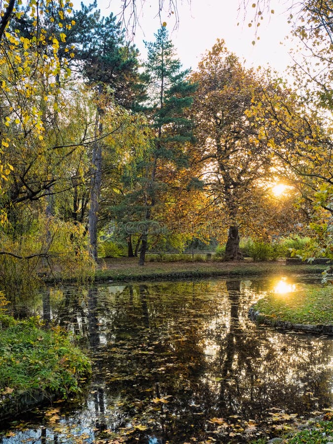 Autumn park scenes stock photo. Image of surroundings - 81782834