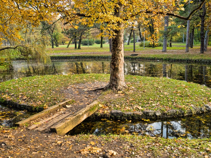Autumn park scenes stock image. Image of water, beauty - 82204129