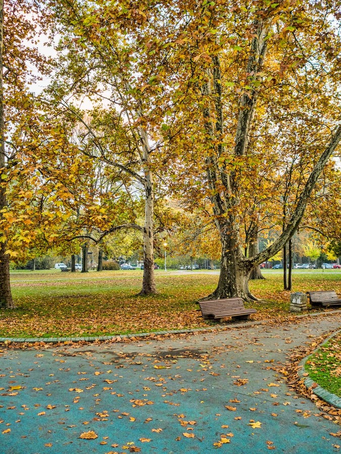 Autumn park scenes stock image. Image of overpass, leaves - 82249577