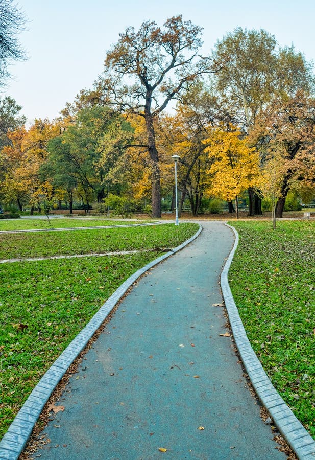 Autumn park scenes stock image. Image of lake, trees - 82249631
